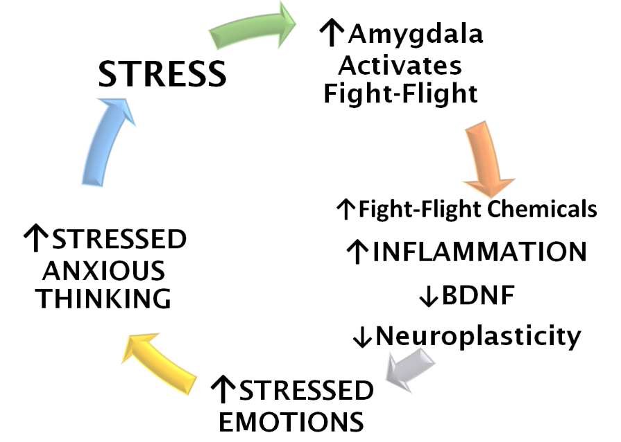 Talk Therapy Changes the Brain with Lasting Benefits | Mood Change Medicine
